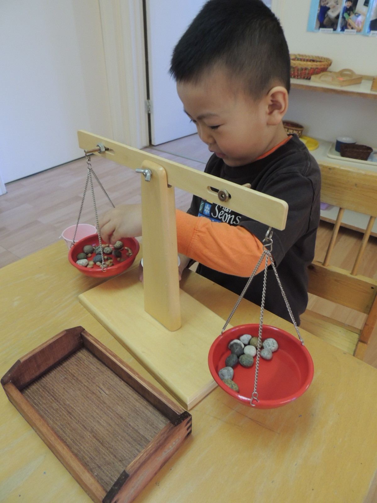Science Education for Preschoolers – Four Seasons Montessori